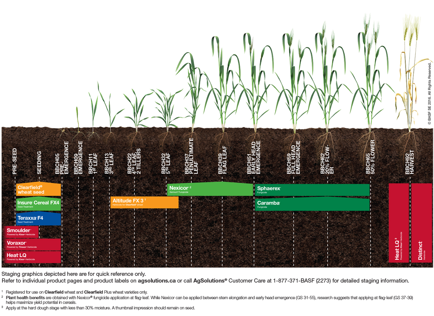 BASF | Crops - Cereals